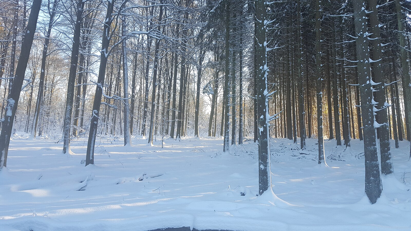 Winter Solstice Ritual & Social Time – Circle of Aradia: Serving ...